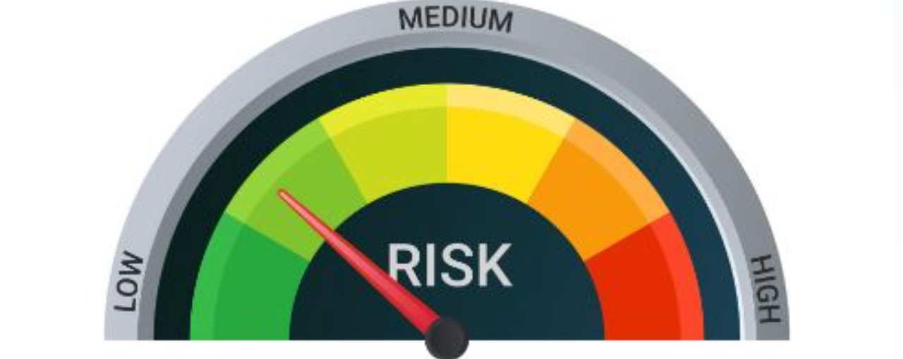 Risk Questionnaire (2022) with Disclaimer