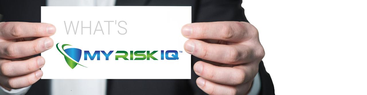 My Risk IQ™ - BridgeWise Financial Partners